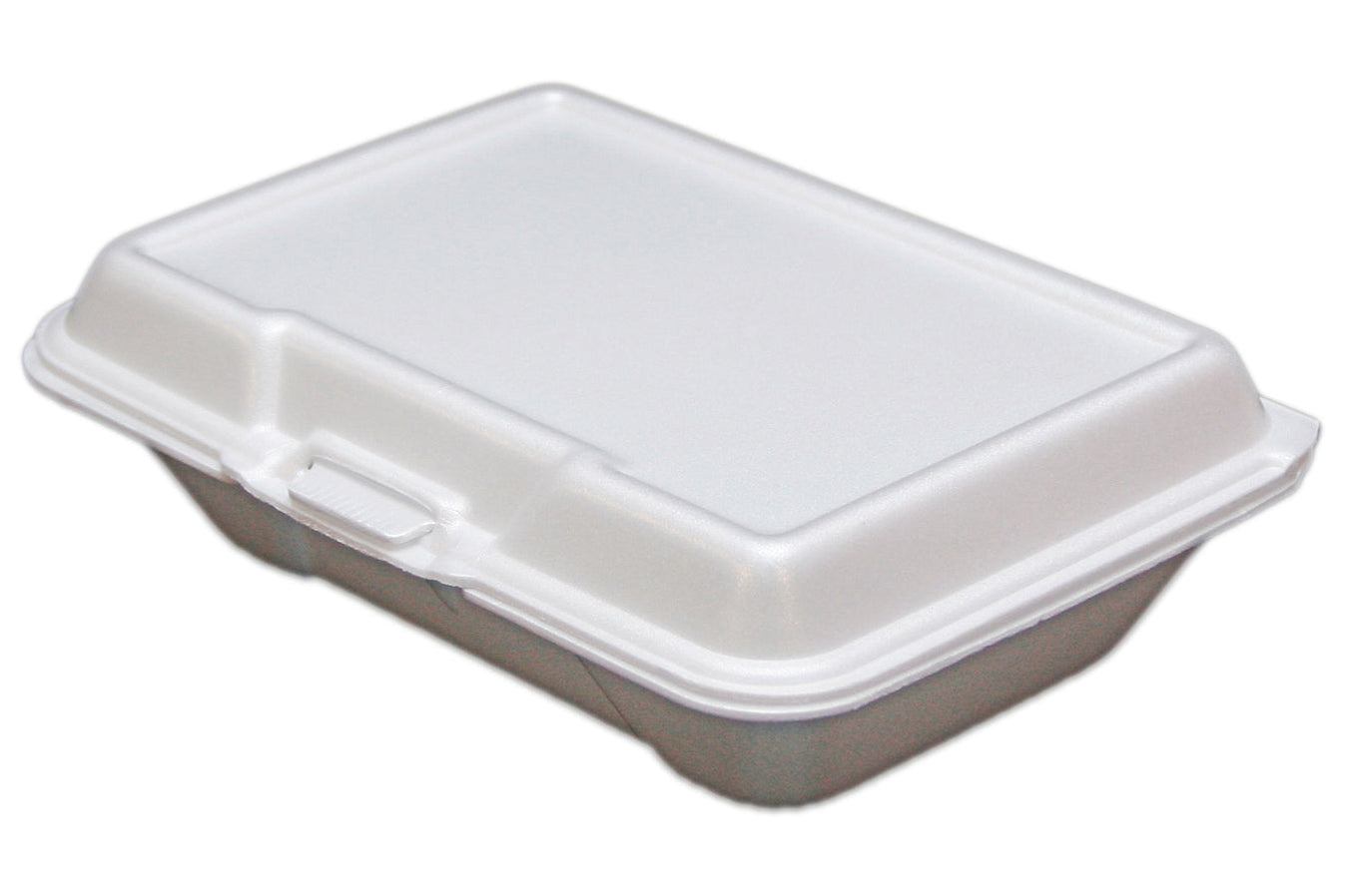 Foam To-go Container — DHG Professional