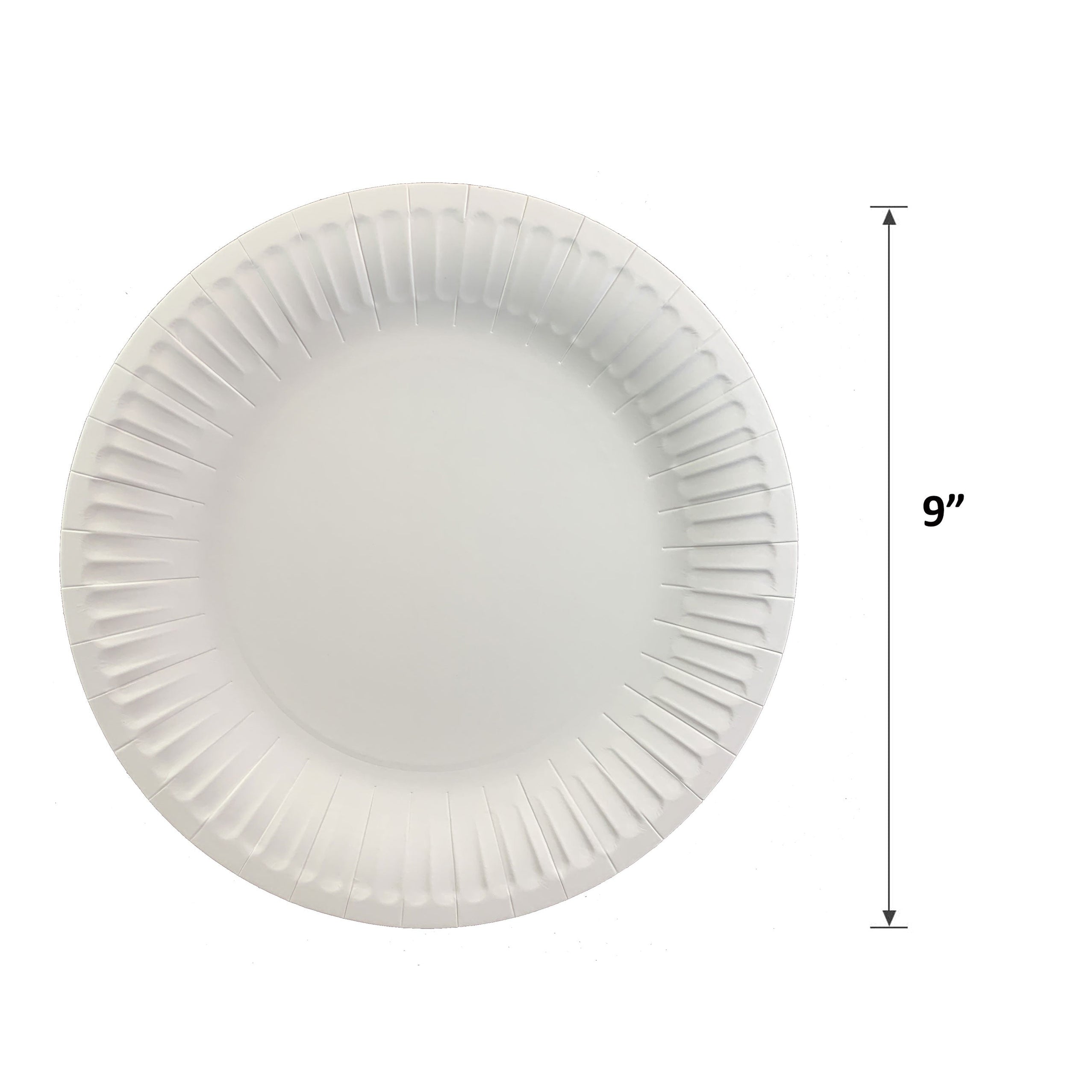The "Green" Standard 9-Inch Paper Plates Uncoated, White 100 Plates ...